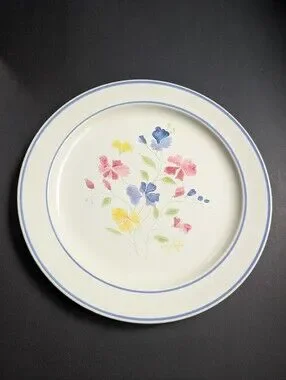 Century Stoneware | Dining | Vintage Century Stoneware Dinner Plate ...